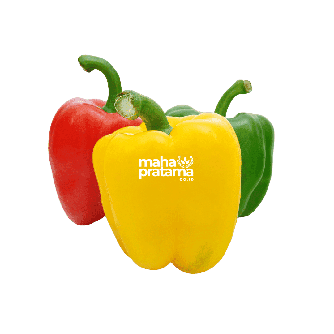 Paprika - Official Website Maha Pratama