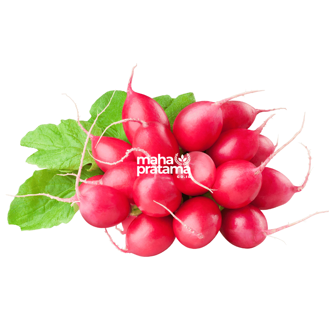 Red Radish - Official Website Maha Pratama