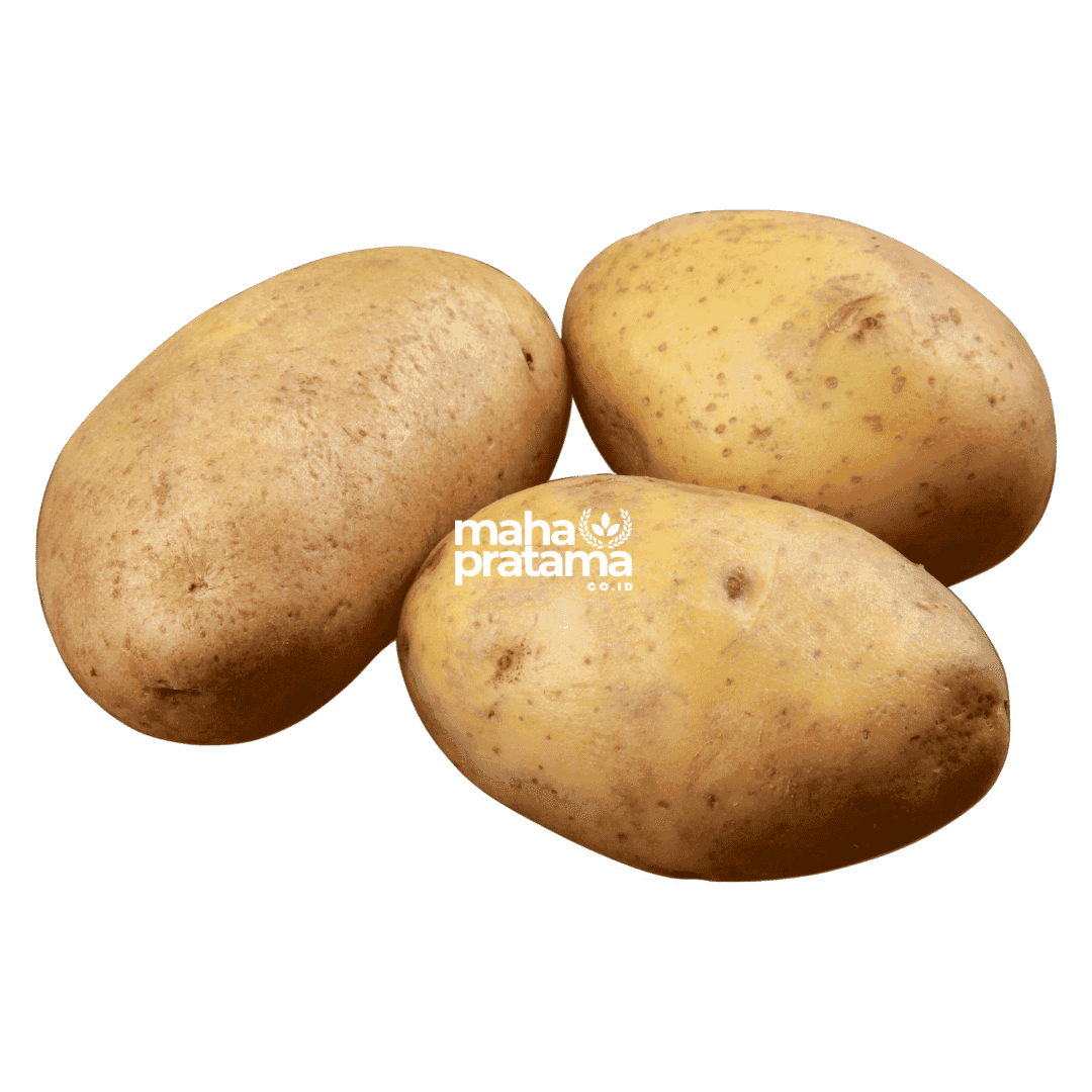 Kentang Dieng - Official Website Maha Pratama